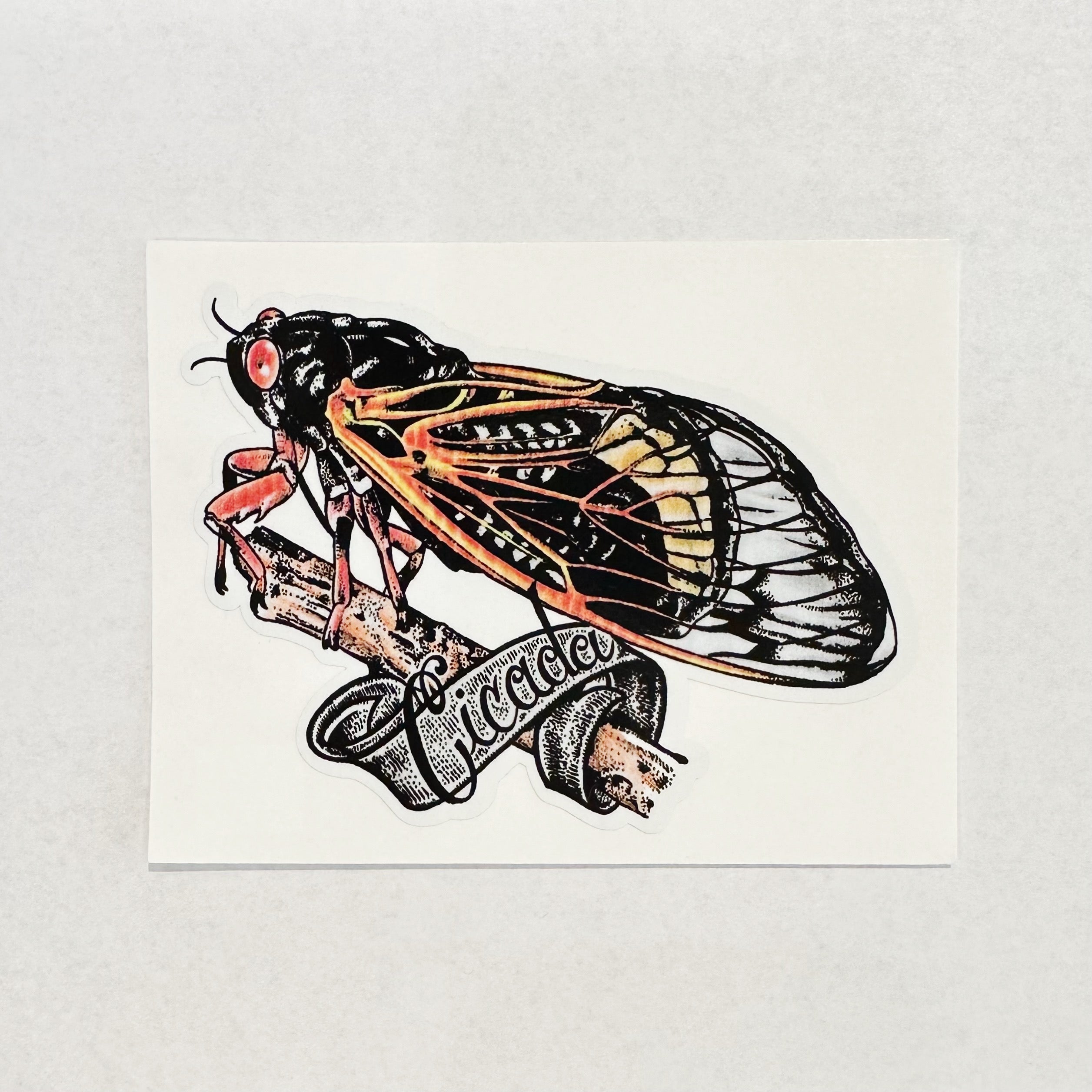 Cicada Sticker – Illinois State Museum - the Shop