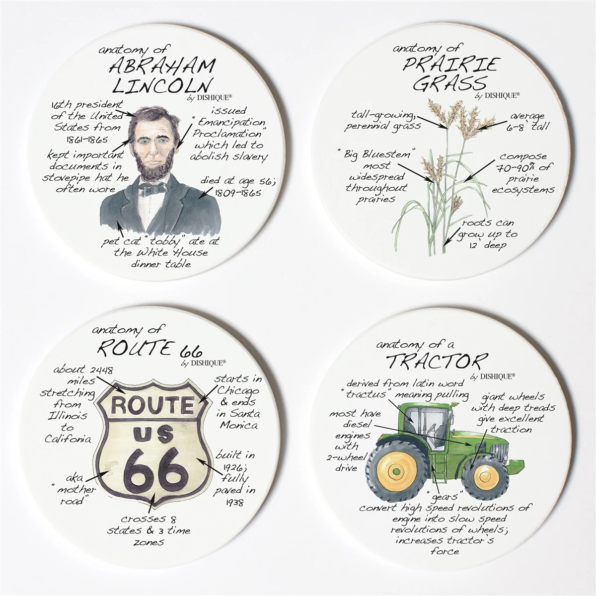 Illinois Anatomy Coasters – Illinois State Museum - the Shop